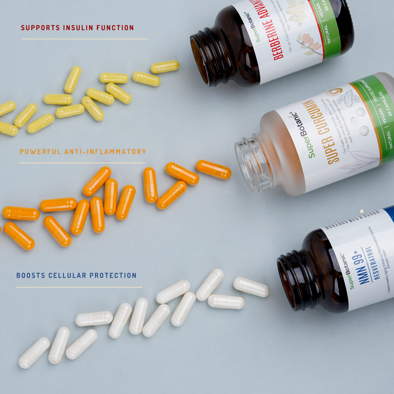 The Longevity Stack – SuperBotanic