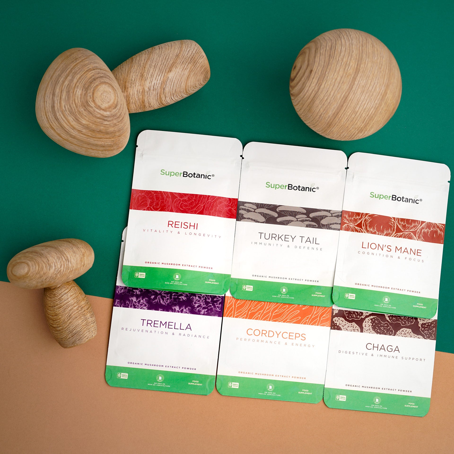 Exploring the Marvellous World of Medicinal Mushrooms – SuperBotanic