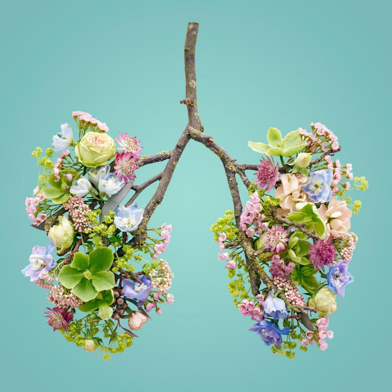 How to get through the Hay Fever Season – SuperBotanic