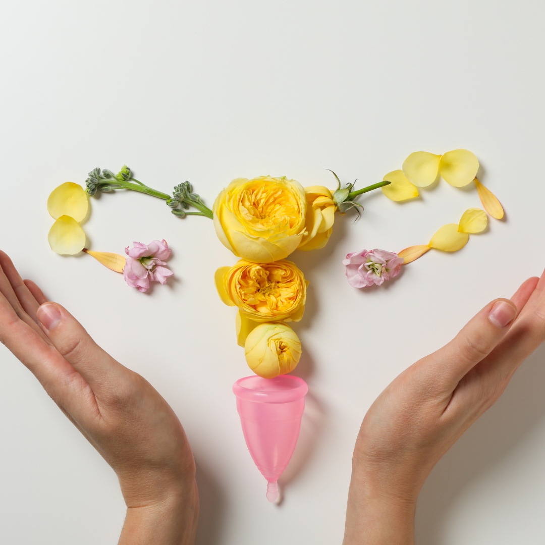 Collections – SuperBotanic