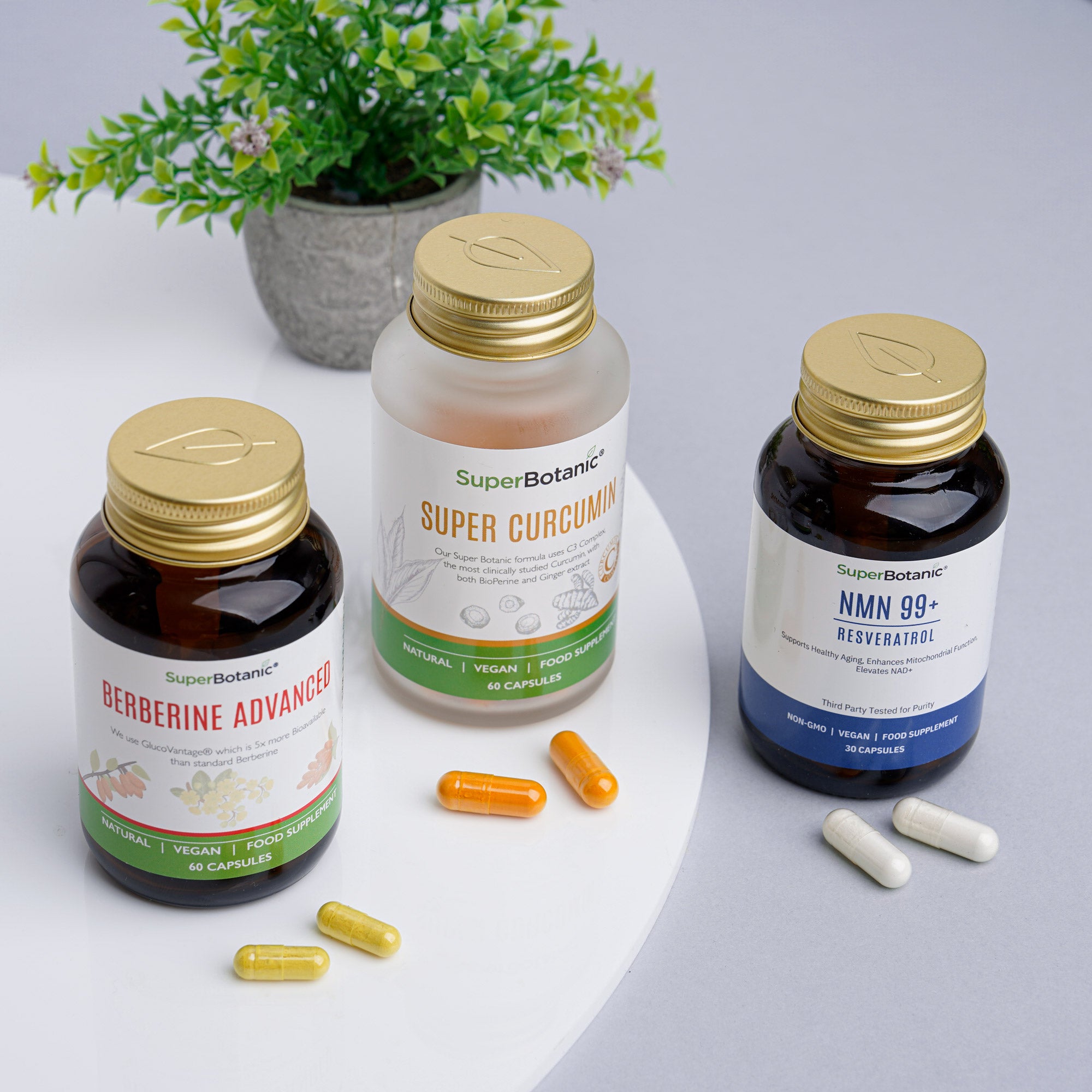 The Longevity Stack – SuperBotanic