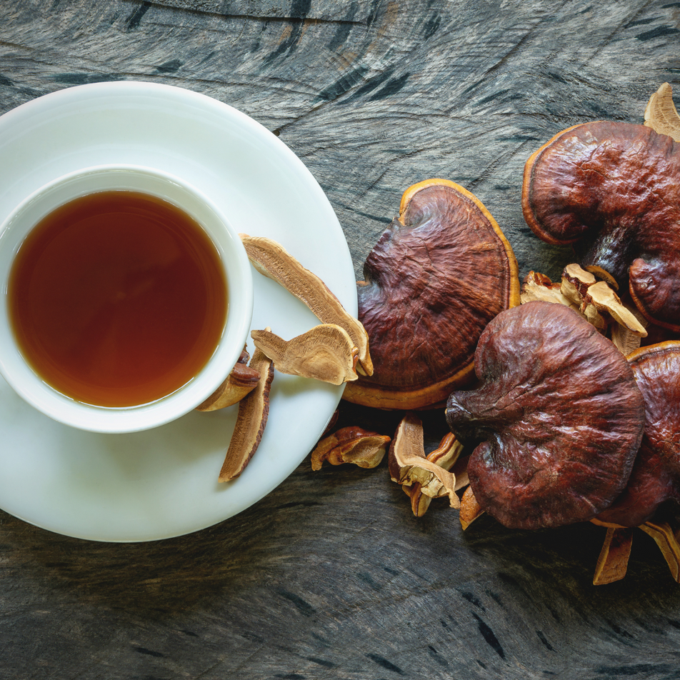 Vitality & Longevity - Reishi – SuperBotanic
