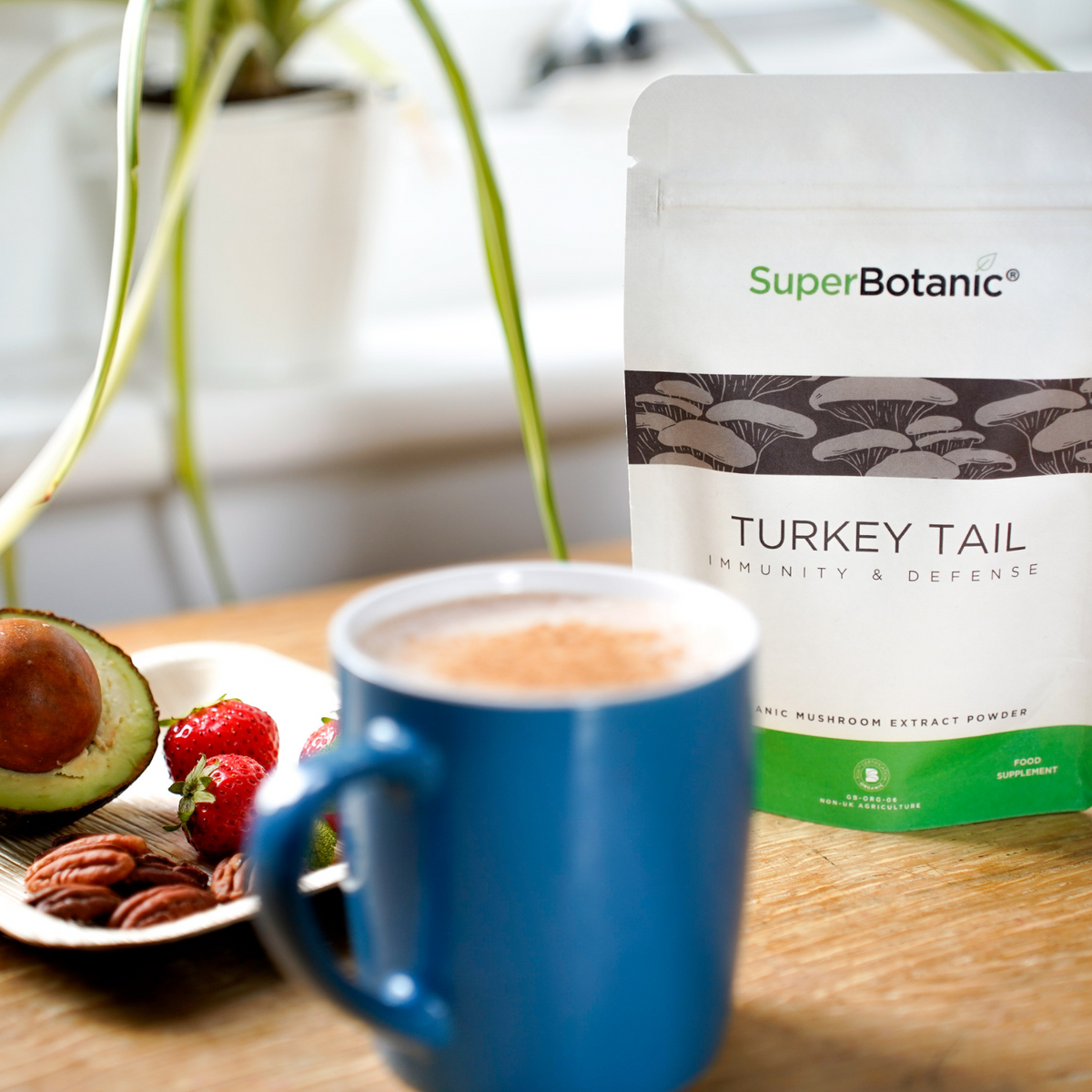 Immunity & Defense- Turkey Tail – SuperBotanic